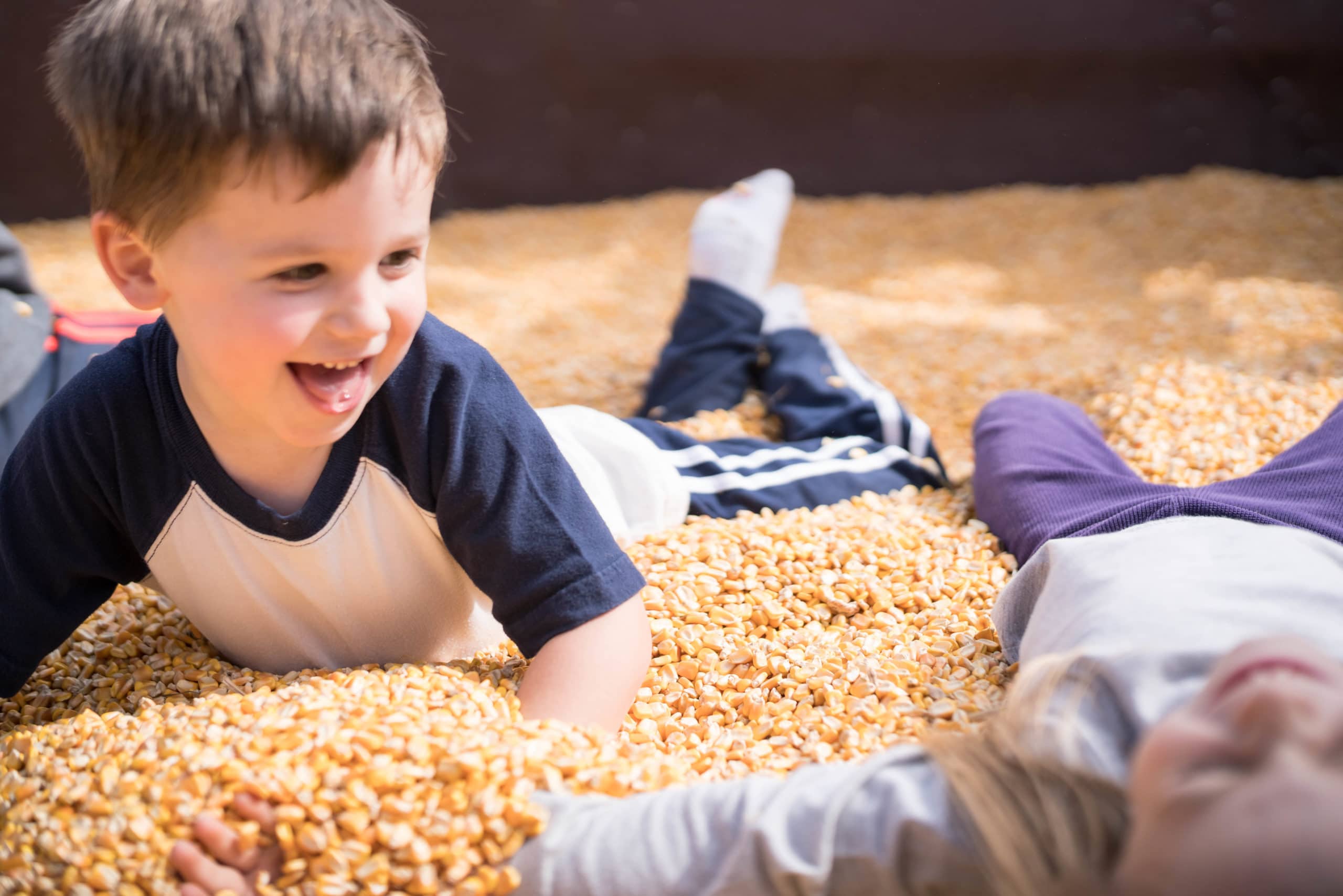 Fall Frolic 180 | Anne Springs Close Greenway