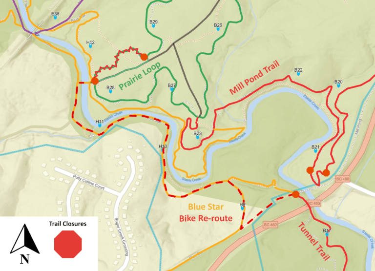 Hike & Run Trails | Anne Springs Close Greenway
