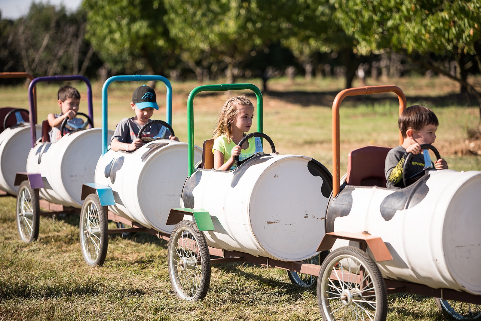 Fall Frolic Photo | Anne Springs Close Greenway