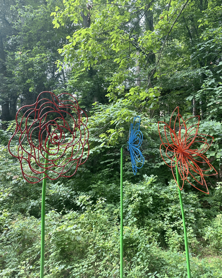 Forest Forms_Happy Flowers | Anne Springs Close Greenway