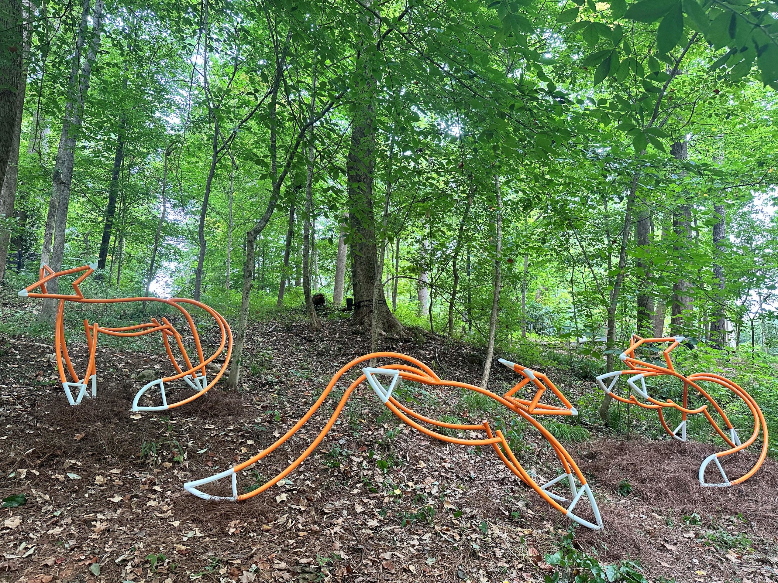 Forest Forms Opening Night Fundraiser | Anne Springs Close Greenway