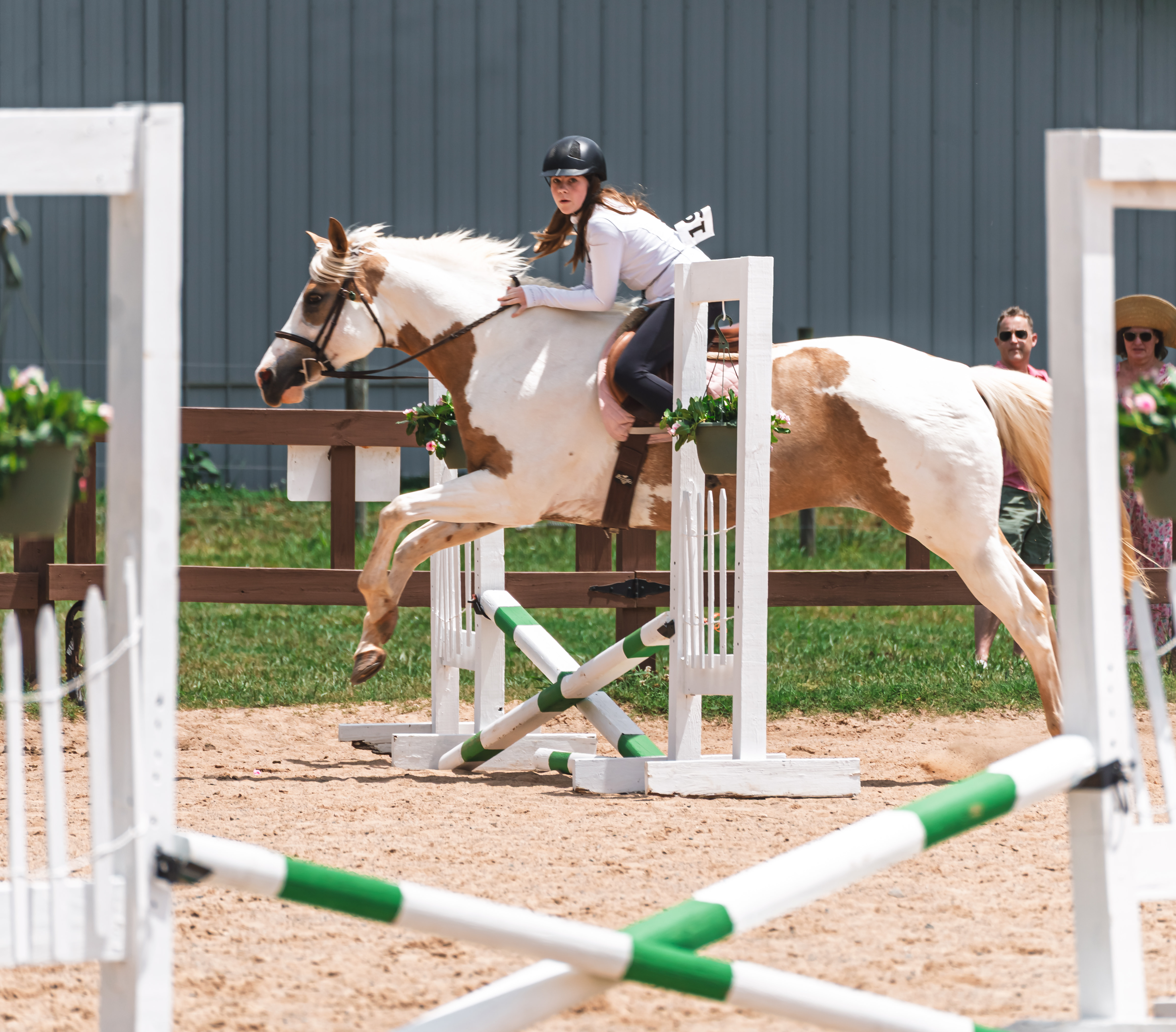 Spring Horse Show | Anne Springs Close Greenway