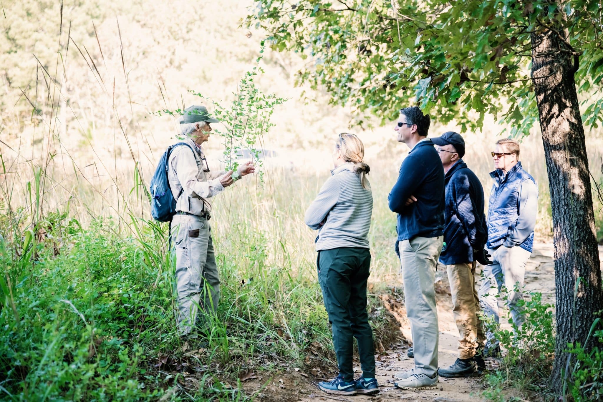 11ASCGreenwaysunflowers2024 CarissaRogersPhotography | Anne Springs ...