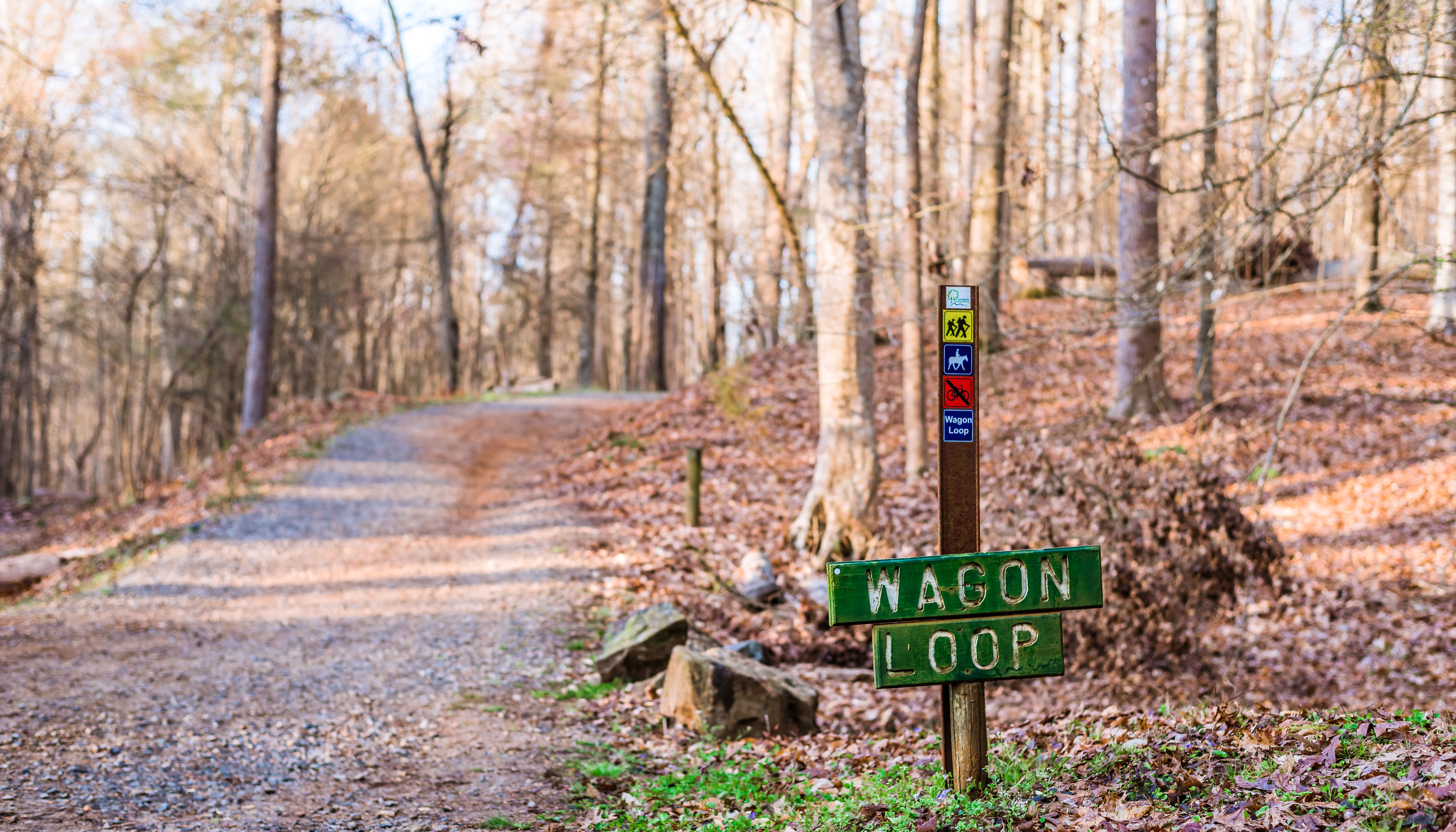 Trailkeepers 101 Workshop | Anne Springs Close Greenway