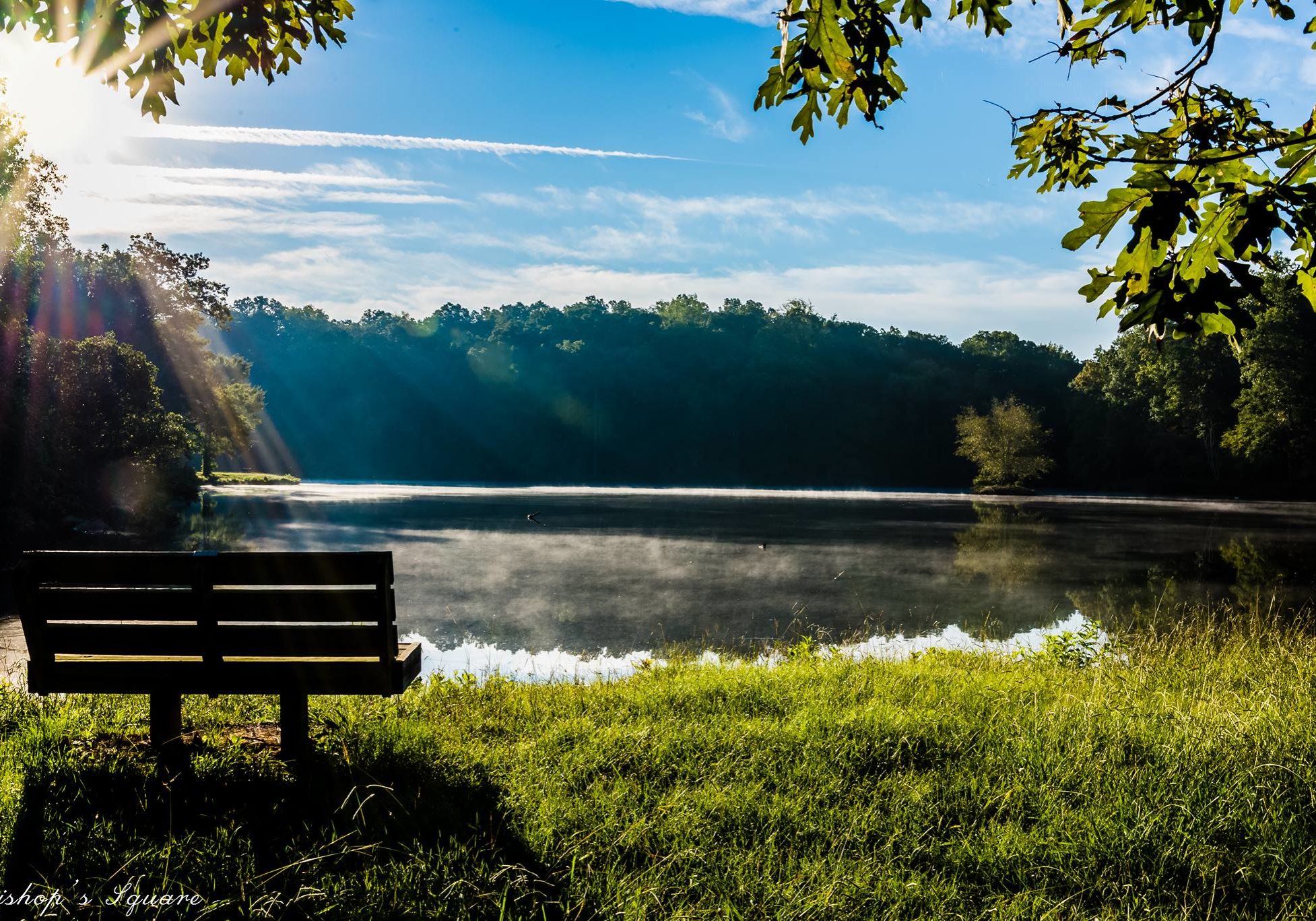 Anne Springs Close Greenway - Get Close to Nature