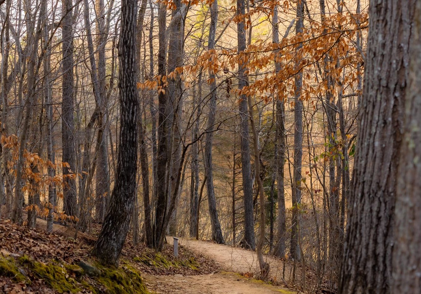 Anne Springs Close Greenway | Fort Mill, Rock Hill, Charlotte