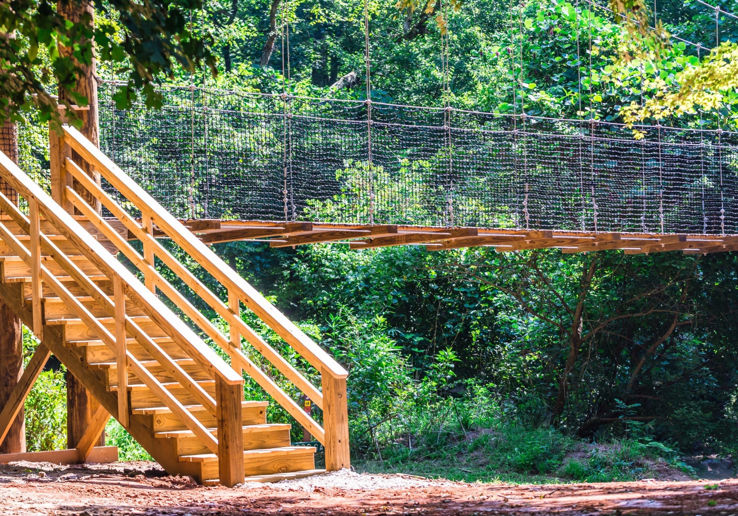 Anne Springs Close Greenway - Get Close to Nature | Anne Springs Close ...